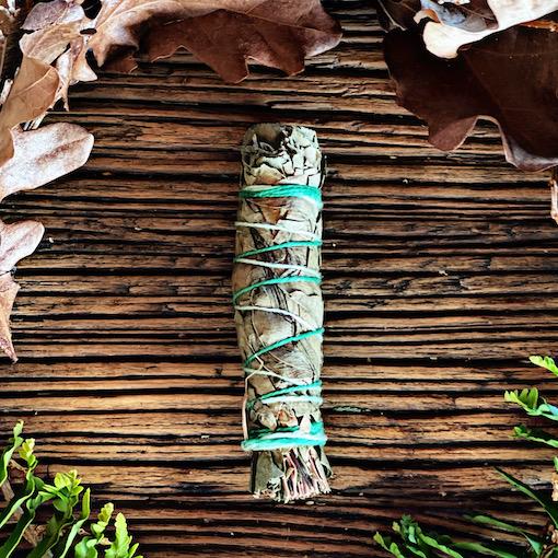 Eucalypt Blend- HEALING Smudge Stick – The Oracle Shop
